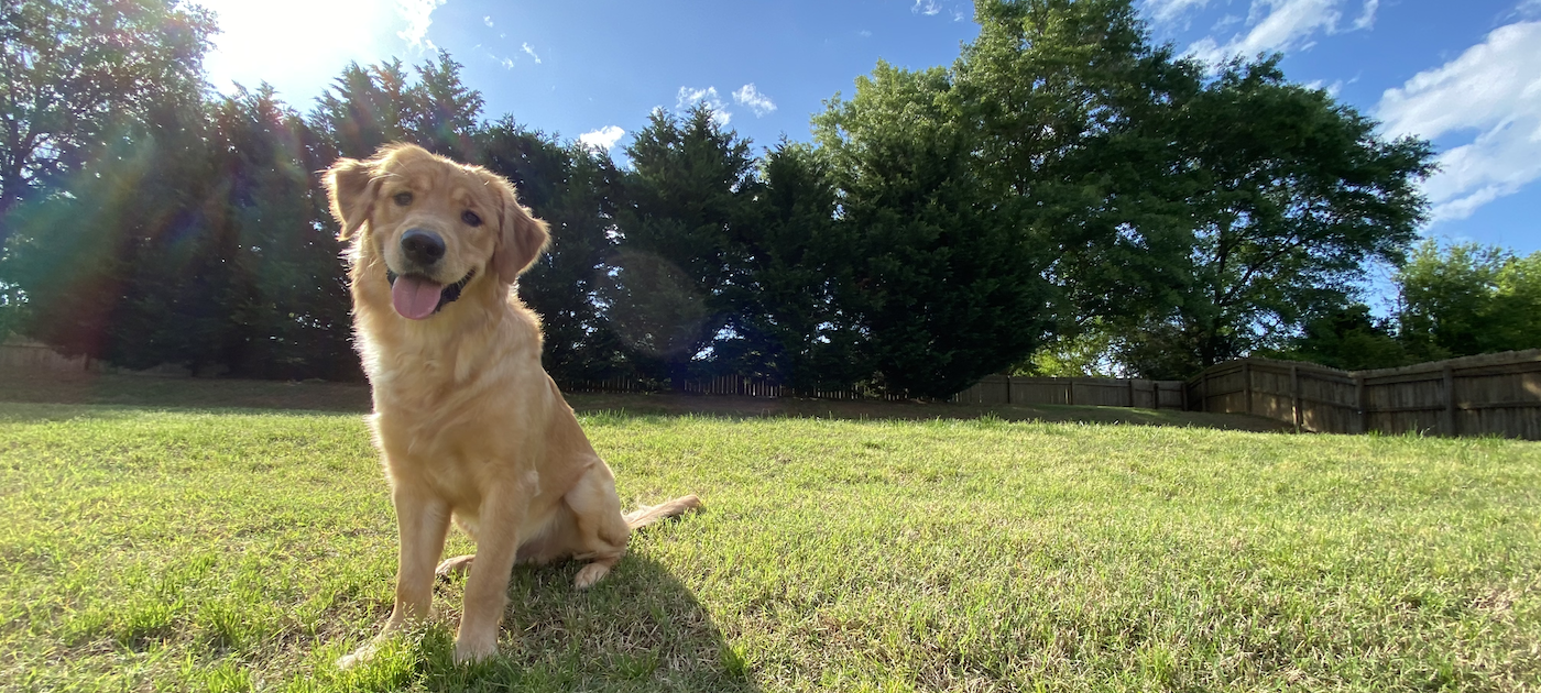 Andrew Soby's Website